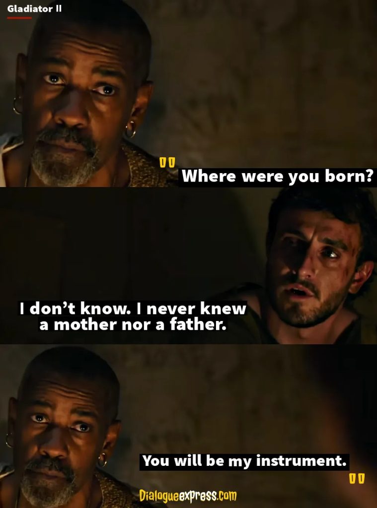 Gladiator: 33 Memorable Quotes That Define Gladiator 2 - Dialogue Express